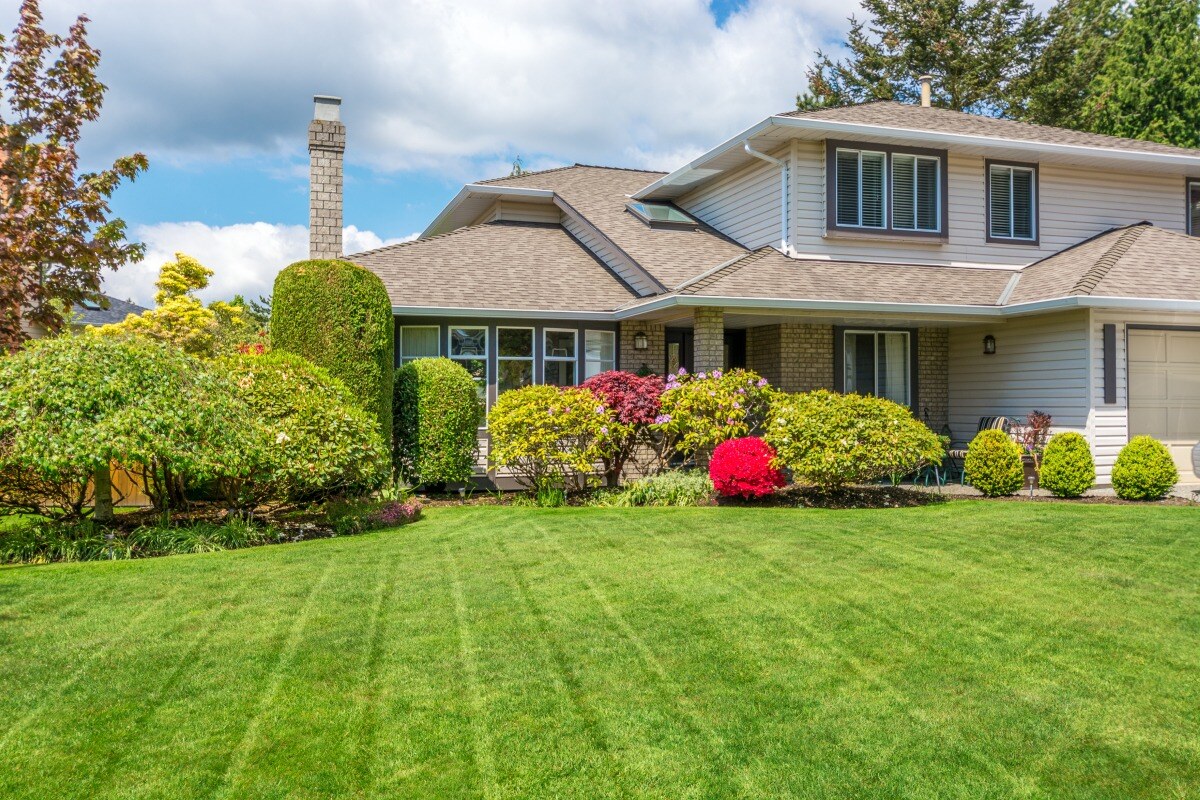 Why Every Yard Needs Professional Lawn Care Services Year-Round